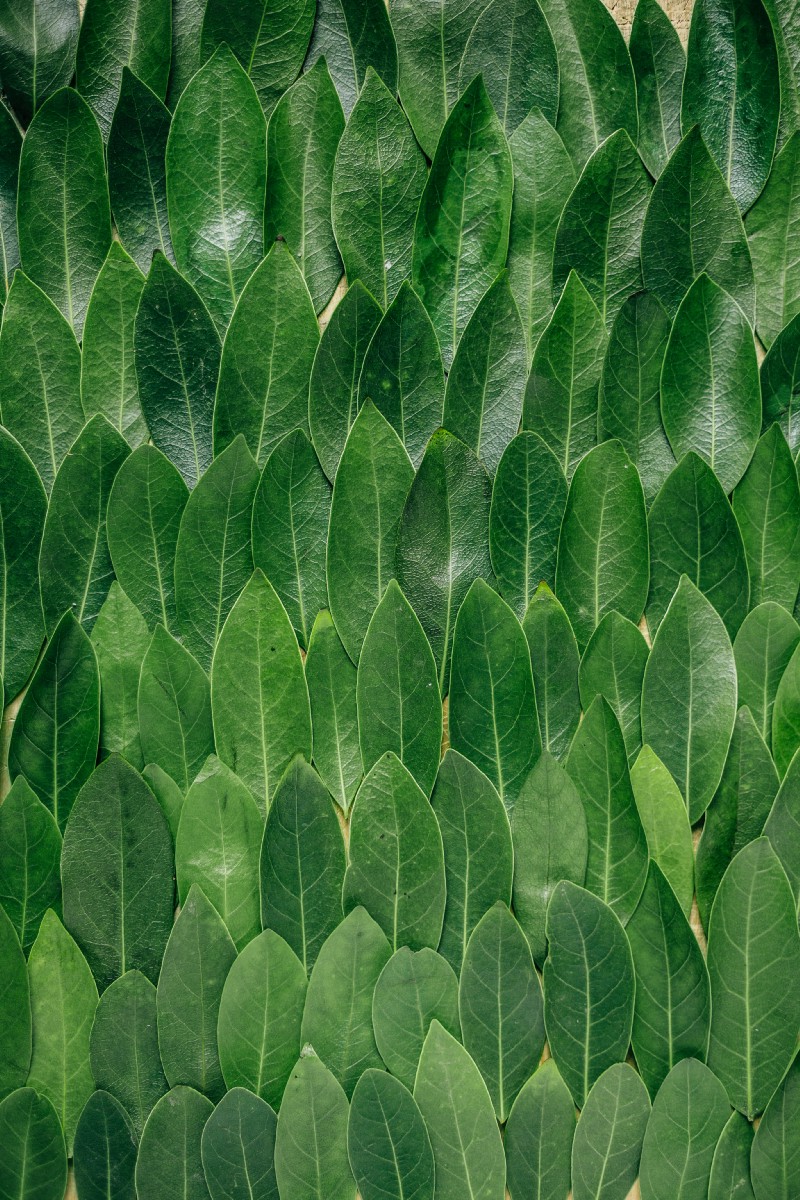 An Overview Of Javascript Iterators