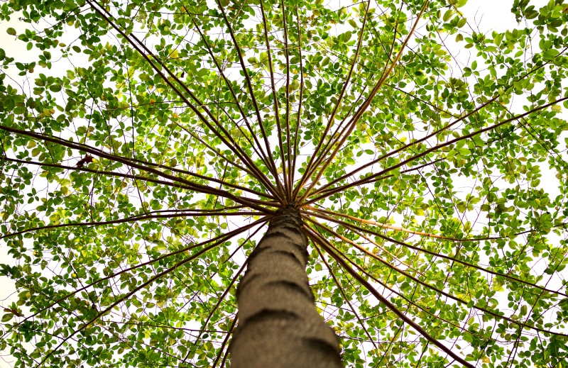 Tree Shaking Es6 Modules In Webpack 2 9341